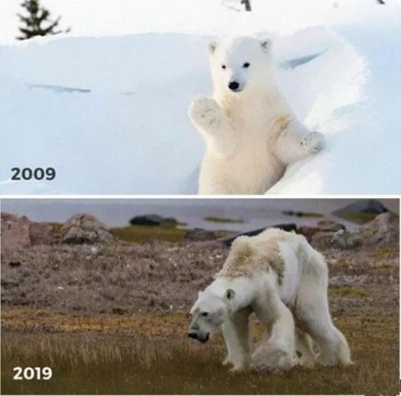 十年对比照挑战！地球的十年和你的十年究竟有哪些变化？__凤凰网