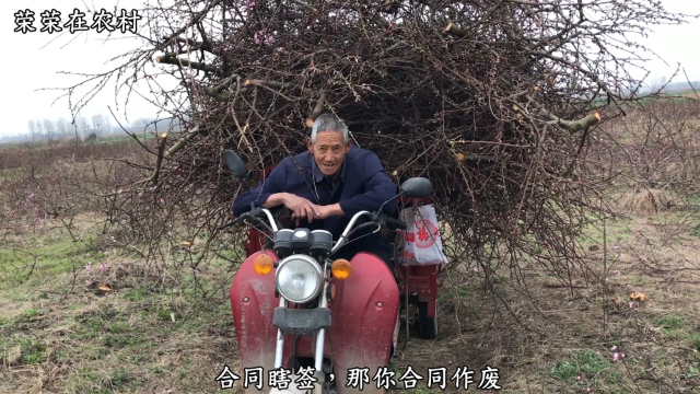农村大爷把土地承包出去15年，为啥合同8年就作废了？是啥原因 凤凰网视频 凤凰网
