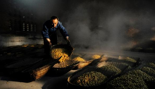 酿酒技术 豉香型大米酒酿造工艺凤凰网