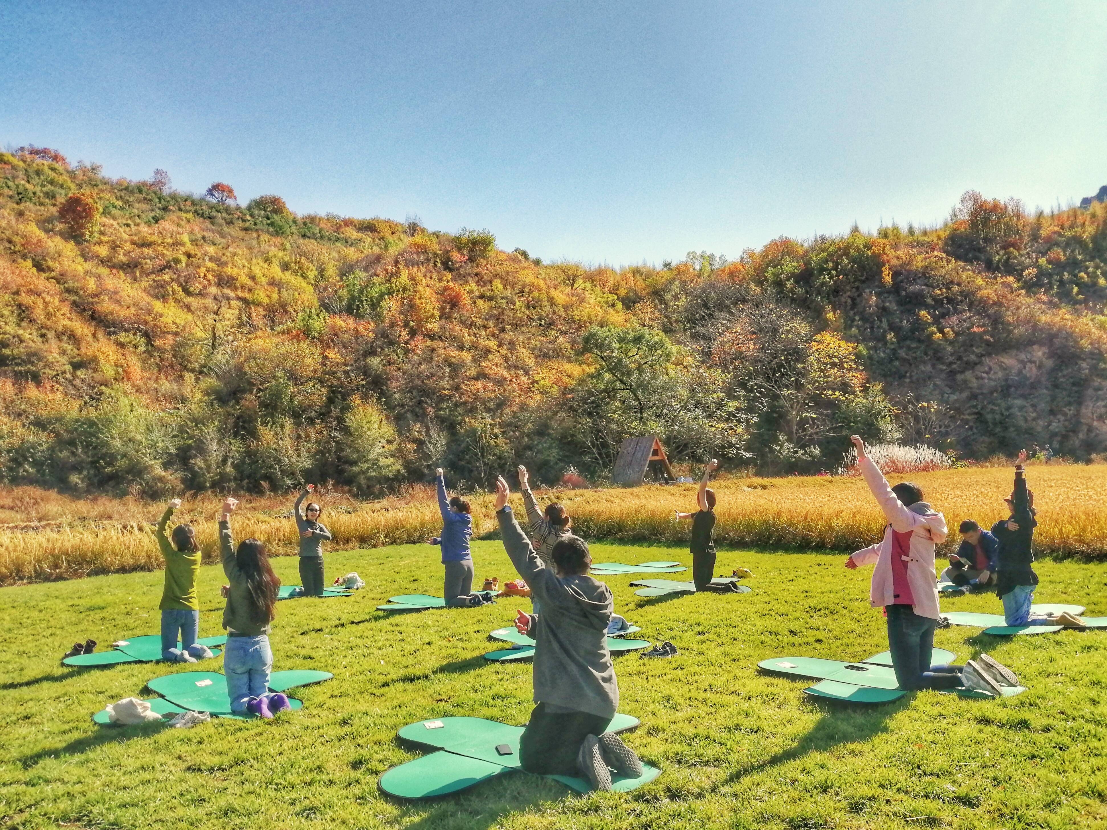 一帐Camplus“向野而生”露营会 探索新户外生活方式__凤凰网