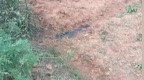 54岁农民工在工地附近如厕被气枪击杀，肇事者自首，用工单位愿补偿25万，家属发声：留下3个孩子，他是家里经济支柱