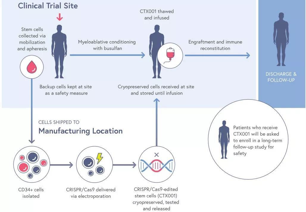 EdiGene盘点 | 2018生物医药行业大事件__凤凰网
