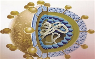 氟唑帕利联合治疗复发或转移性胃癌__凤凰网