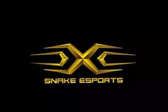 英雄联盟Snake战队被李宁集团收购！服装品牌也要涉足电竞了！__凤凰网