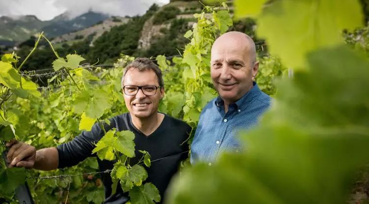 WINEBOY ·讲述 | 认识瑞士葡萄酒 哲马酒庄庄主Gilles Besse专访_凤凰网美食_凤凰网