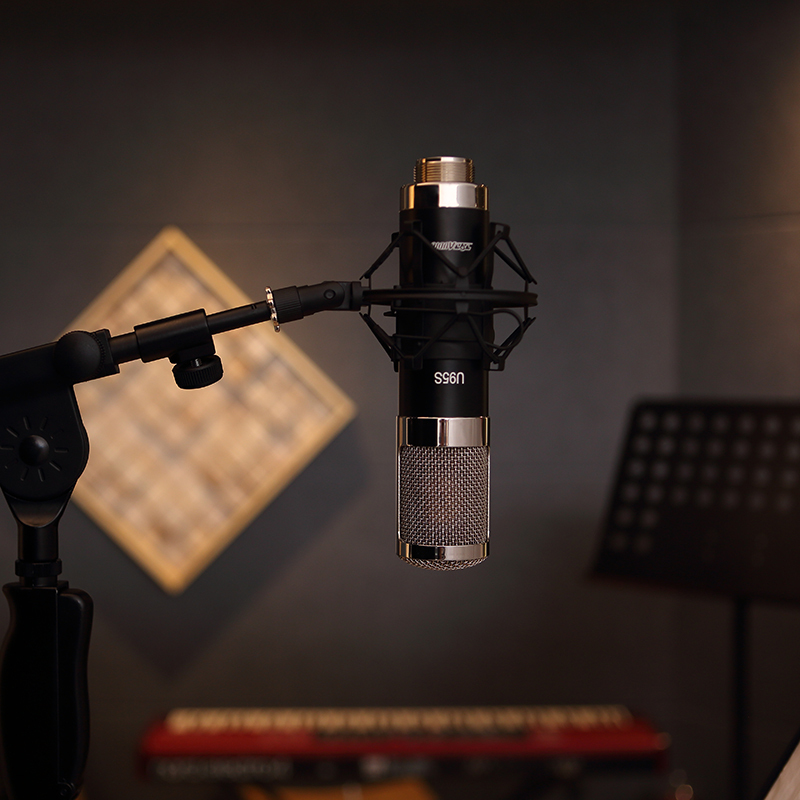 797AUDIO型号U95S经典电子管录音话筒__凤凰网
