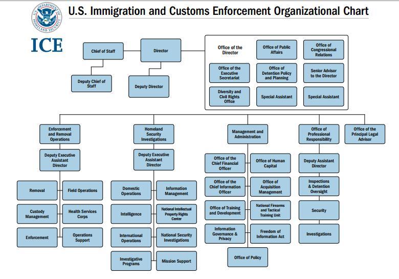 “9•11”后美国进出境机构改革之二__凤凰网
