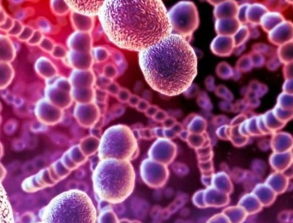 一文讲通EB病毒的症状、危害、诊治、和降低病毒量的调理办法__凤凰网