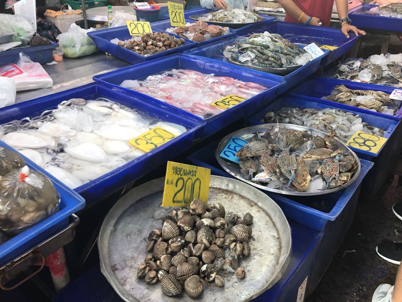 泰国芭堤雅Naklua Fish Market新鲜海产推荐2019__凤凰网