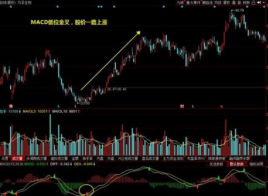 杨首骏—MACD实战中的应用__凤凰网