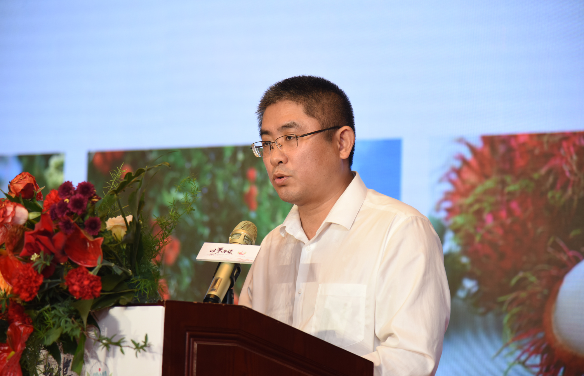 以果为媒 保亭红毛丹品牌推介会在海口成功举办__凤凰网