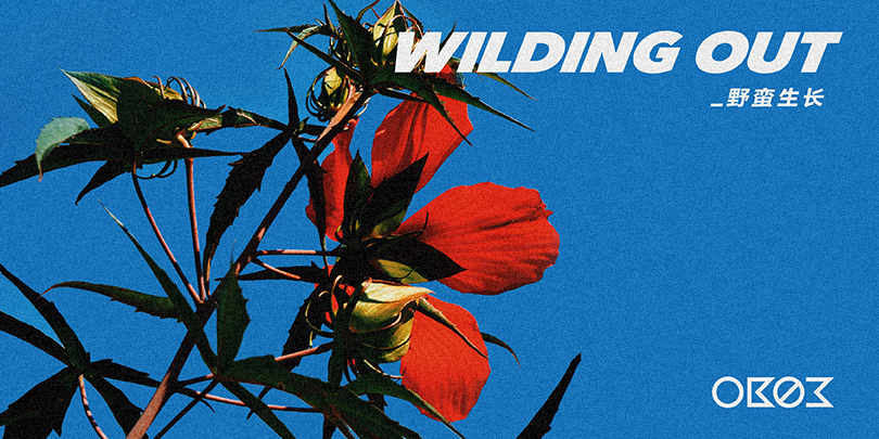 任尔寒风凛冽 我亦野蛮生长|OB03新单曲WILDING OUT（野蛮生长）正式上线__凤凰网
