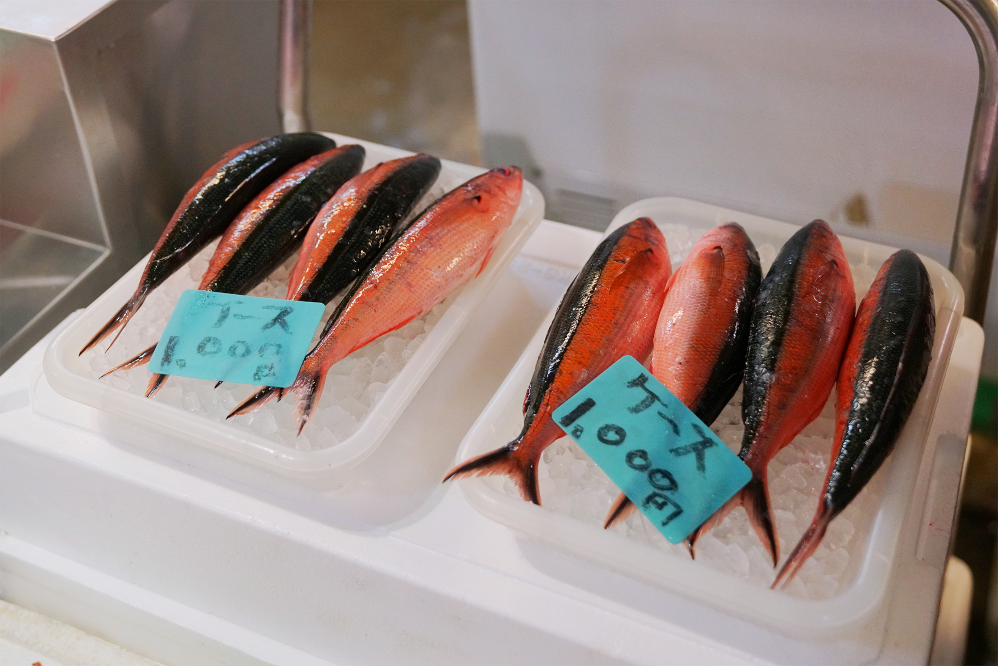 冲绳游记：像冲绳本地人一样逛那霸泊港鱼市场__凤凰网