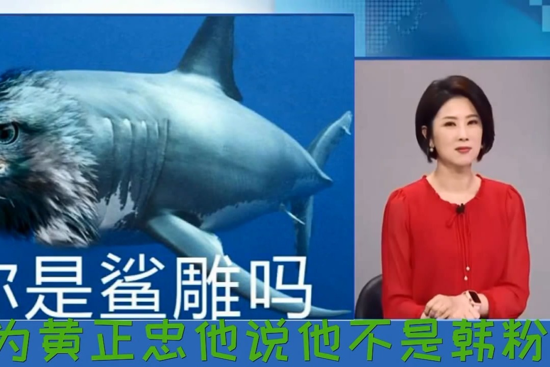 岛内民间组织呛韩国瑜 没种”，绿营嘴炮：被山东 统战”了凤凰网视频凤凰网