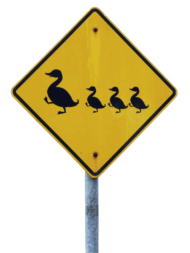 外国斑马线上的“XING”是什么意思？__凤凰网