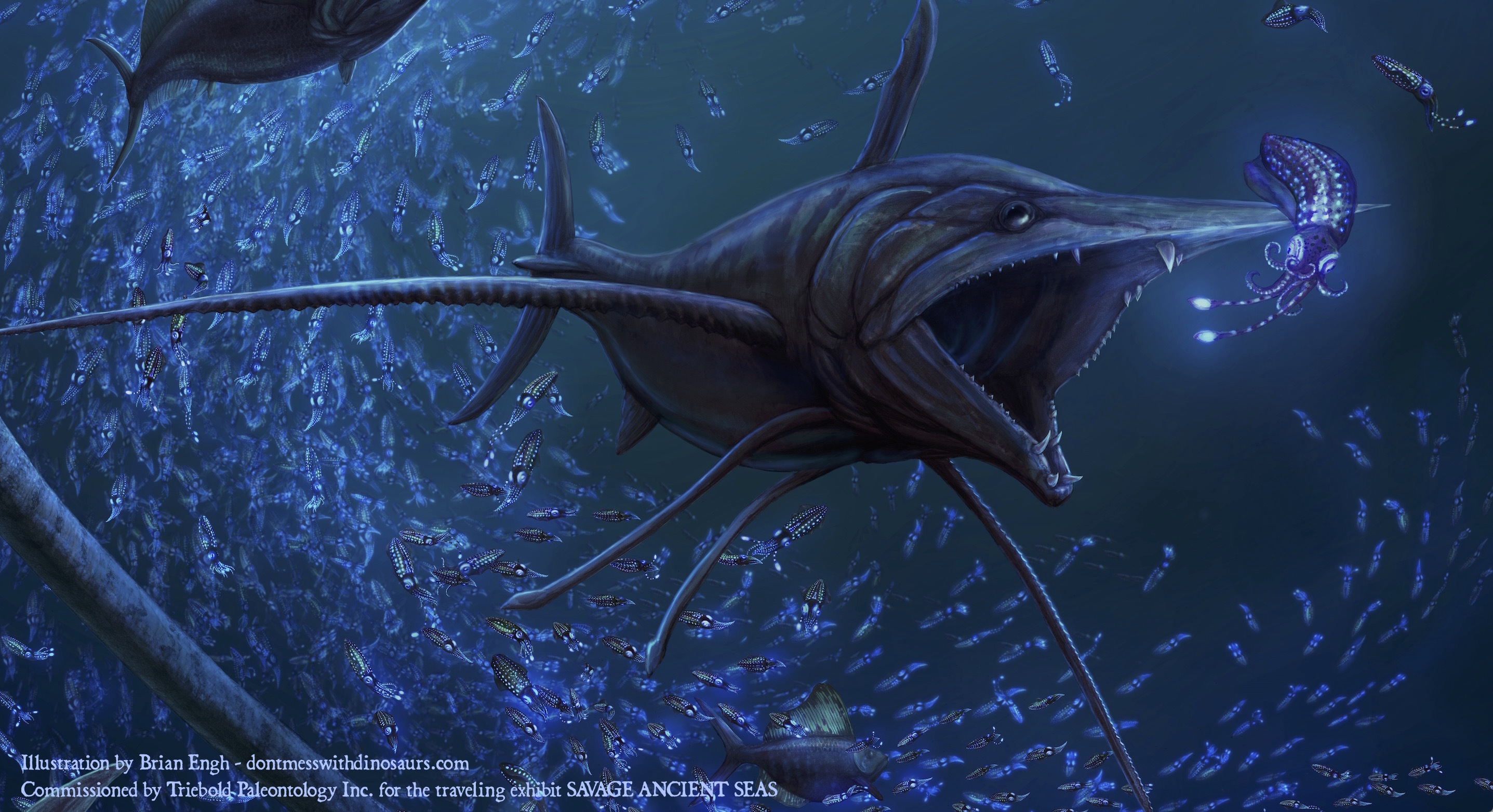 “白垩纪最危险鱼类”竟然只是沧龙的海鲜大餐？_凤凰网