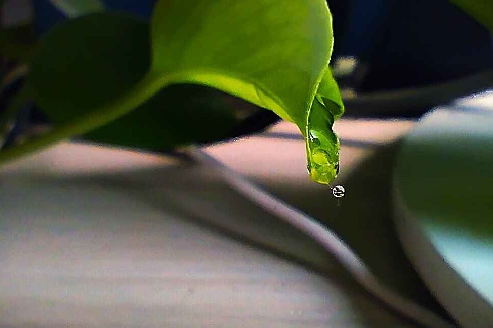 YPEPRO益嘉适以卓越产品品质，助力健康中国战略稳步实施_凤凰网