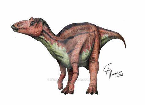 罕见恐龙胚胎化石证实恐龙出生时鼻尖长角_凤凰网