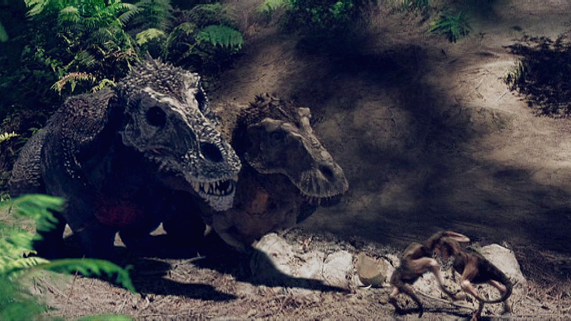 霸王龙一生分为21个阶段，其中两个阶段最为关键！_凤凰网