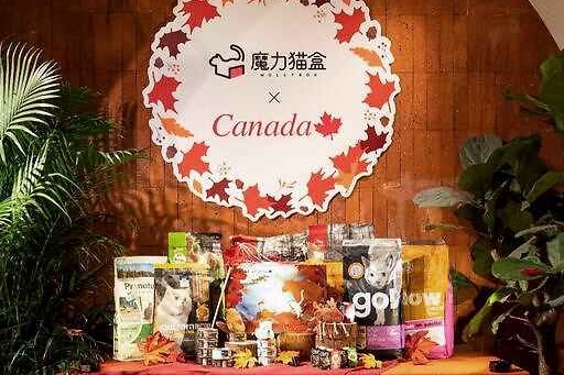 MollyBox魔力猫盒和加拿大推出国家联名盒，天猫限量首发上市_凤凰网
