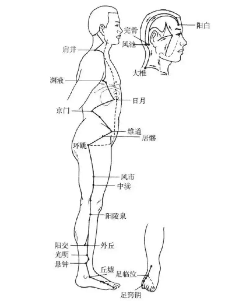 你了解经脉吗？十二经脉的位置、走向规律、交接规律及分布规律__凤凰网