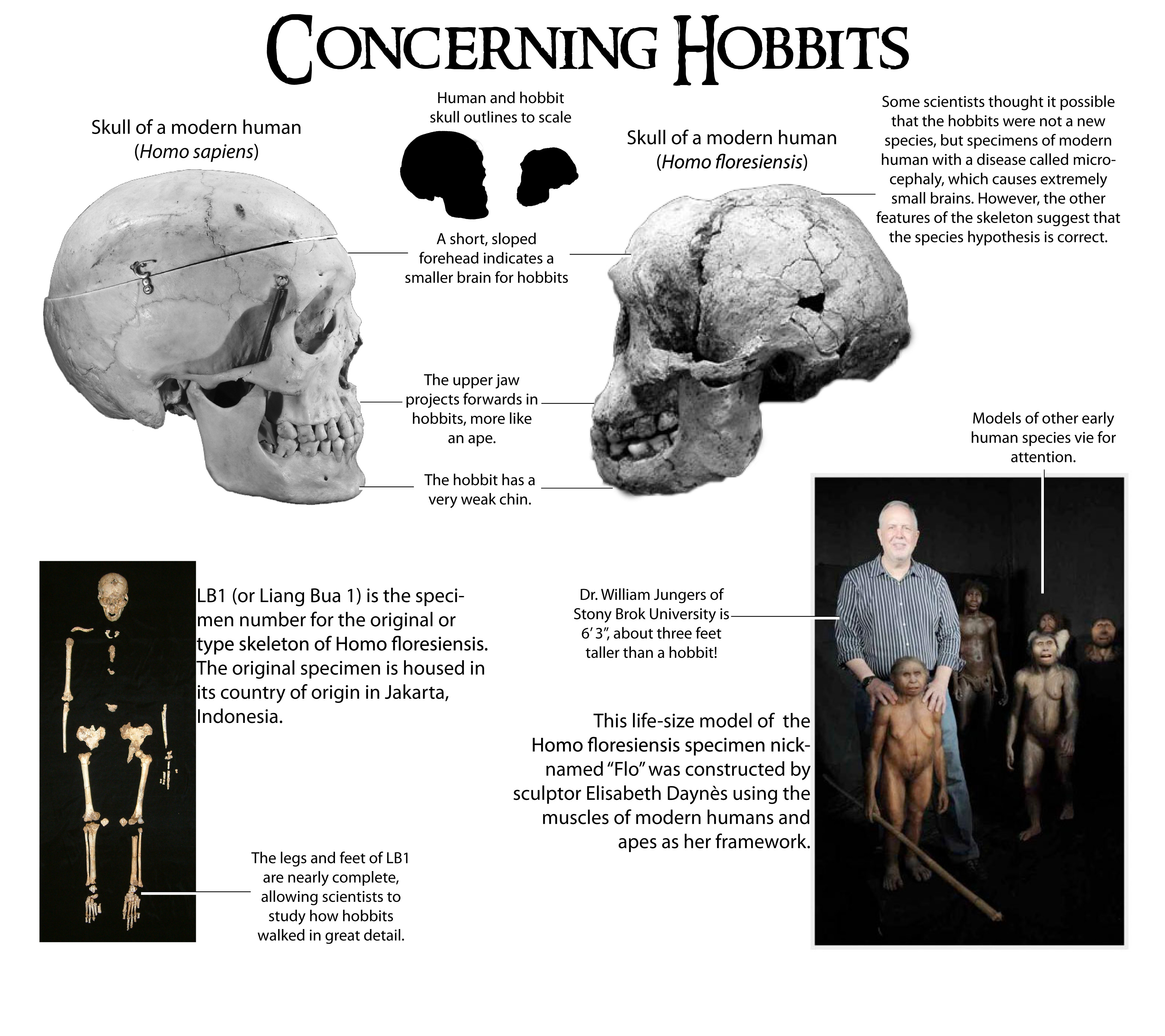 传说中的小矮人真的存在 只是被我们人类杀光了_凤凰网