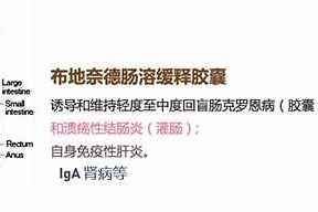 布地奈德（Budesonide）治疗克罗恩肠炎、IgA肾病效果怎么样？_凤凰网
