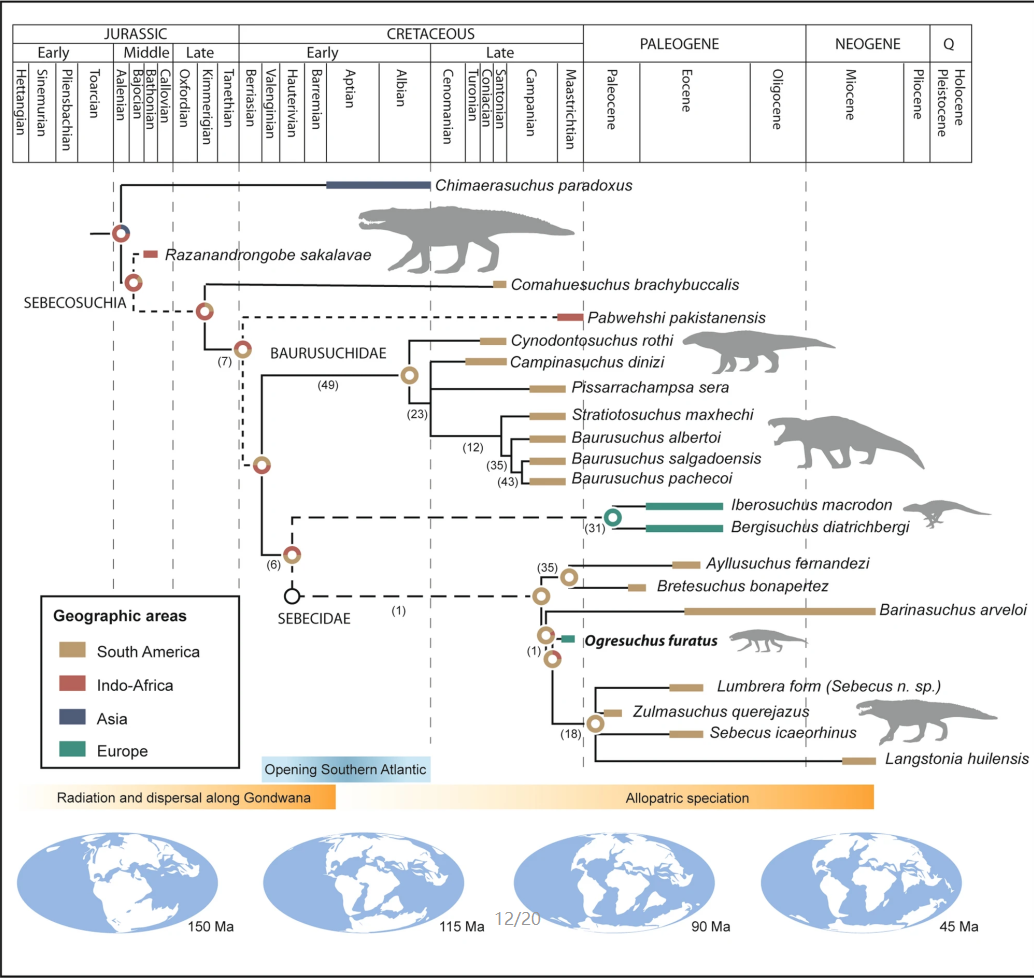 泰坦巨龙的幼崽怎么吃才香 这种小鳄鱼最有发言权_凤凰网