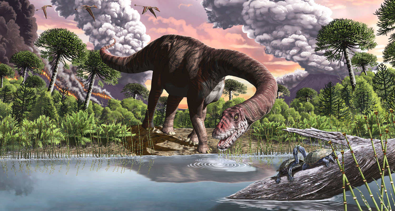 2020年古生物学家到底命名了多少种恐龙？_凤凰网