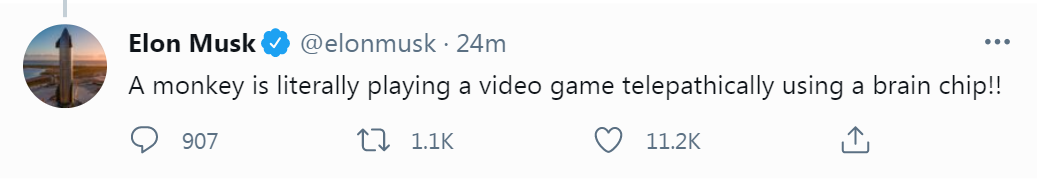 继在猪身上做实验之后，Neuralink 又在猴子的大脑中成功植入了脑机接口。__凤凰网