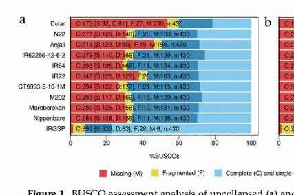 Pacbio Iso-Seq测序技术发现水稻非生物胁迫下的新转录本和新基因_凤凰网