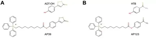 可治病、可抗衰，也可抵抗皮肤「光老化」的分子即将商业化？__凤凰网