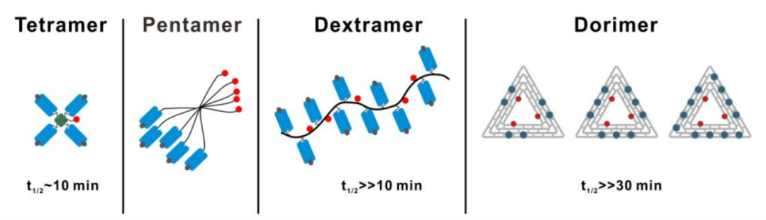 华东师大团队基于「DNA折纸术」开发新型多聚体用于精准免疫监测__凤凰网