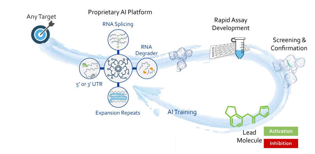 国内首家AI+RNA药物研发公司引进创新药专家Paul August__凤凰网