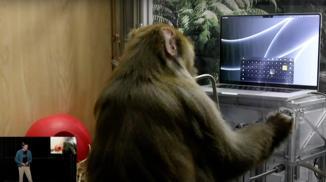 Neuralink最新进展：猴子现场意念打字，预计6个月后开展临床试验__凤凰网