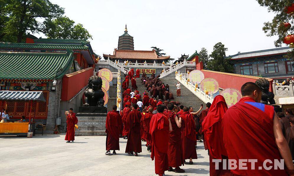 藏传佛教僧人朝拜佛牙舍利塔_手机凤凰网