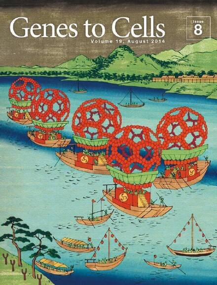 日本科学杂志封面设计_手机凤凰网