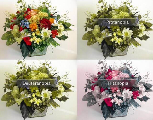 你知道吗？原来色盲人群眼中的世界是这样的