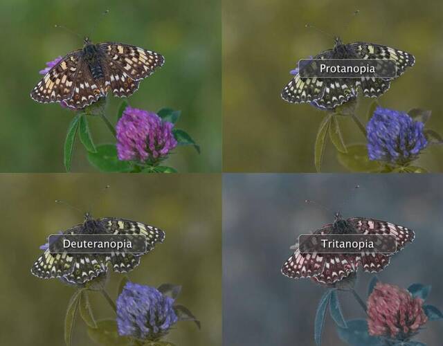 你知道吗？原来色盲人群眼中的世界是这样的