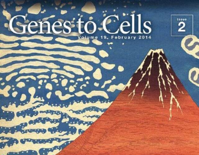 日本科学杂志封面设计