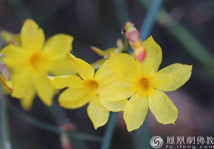 一日禅：沉气守心_紫峰呼珠峰_新浪博客